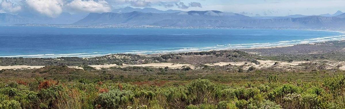 Région viticole de la région côtière – WineStore