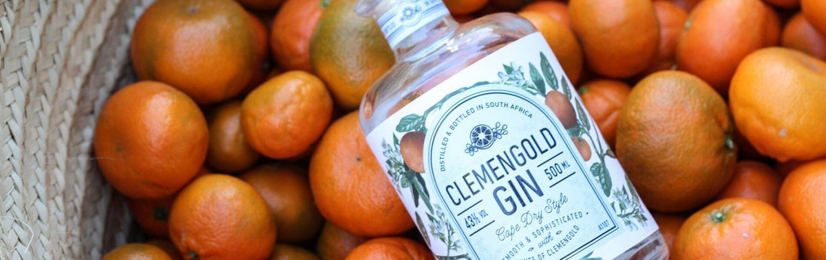 South African Gins - The WineStore