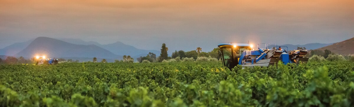 Buy Springfield Winery wines online - The WineStore